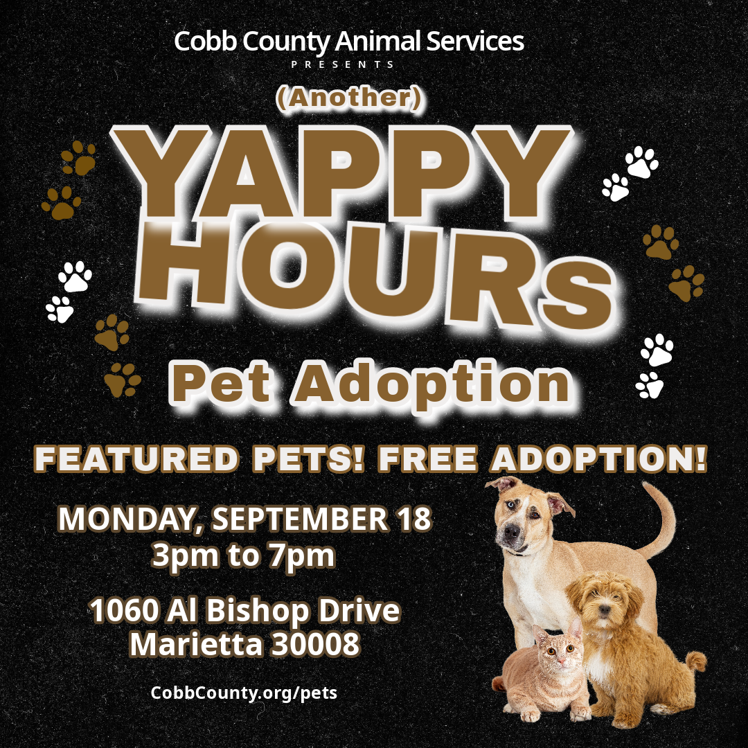 (Another) YAPPY HOURs event | Cobb County Georgia
